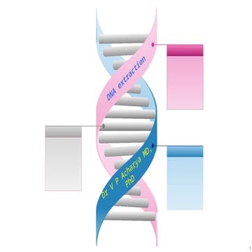 Genomic DNA extraction by spin column method | PPTX