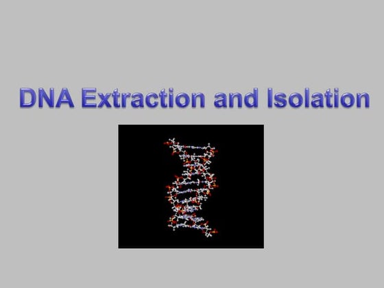 Dna extraction | PPT