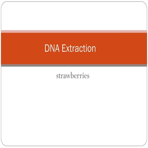 Dna extraction lab | PPT