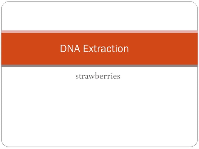 Introduction to DNA for Key Stage 2 (KS2) | PPTX