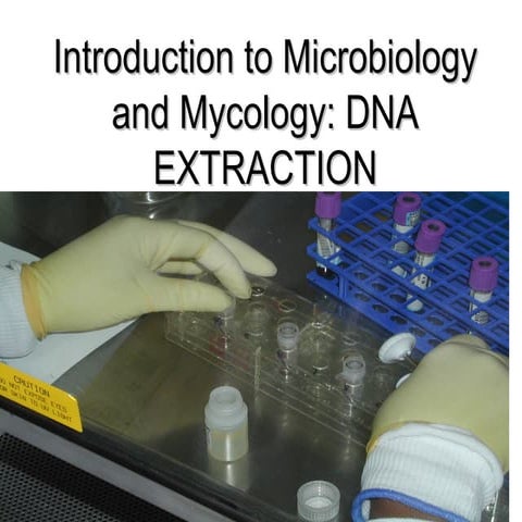 Dna extraction overview | PPT
