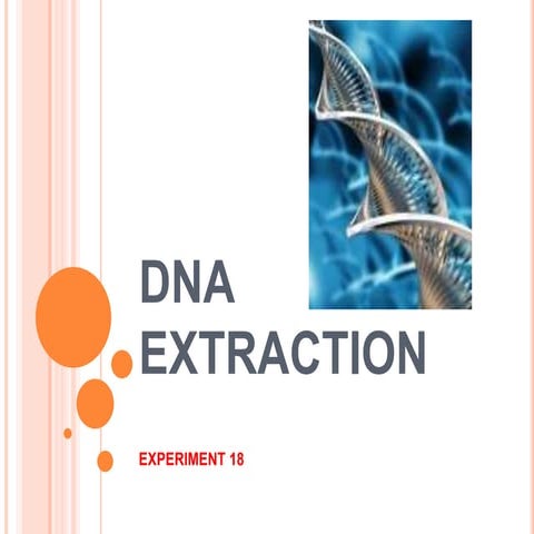 Banana dna lab isolating dna from a banana activity | PPT