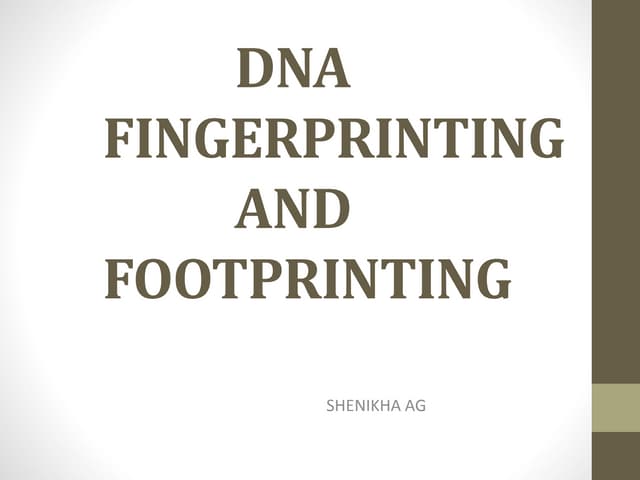 DNA FINGERPRINTIN Class XII Biology.pptx