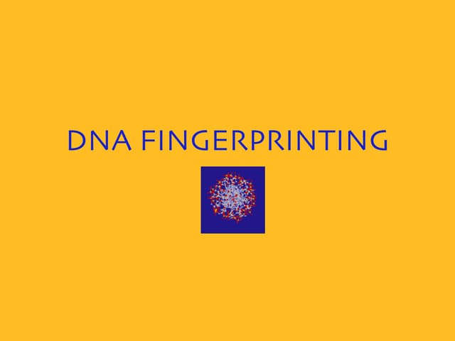 352180832 dna-fingerprint-investigatory-project-class-12 (1) | PDF