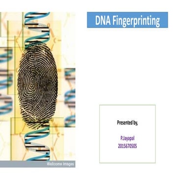 Dna fingerprinting | PPT