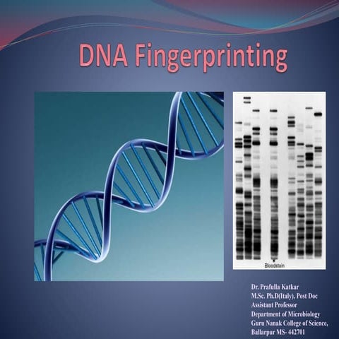 Dna fingerprinting | PPTX