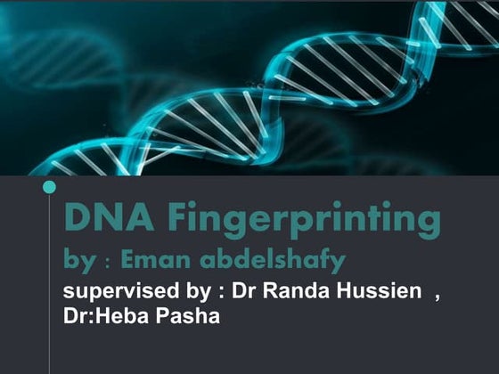 DNA Fingerprinting.ppt