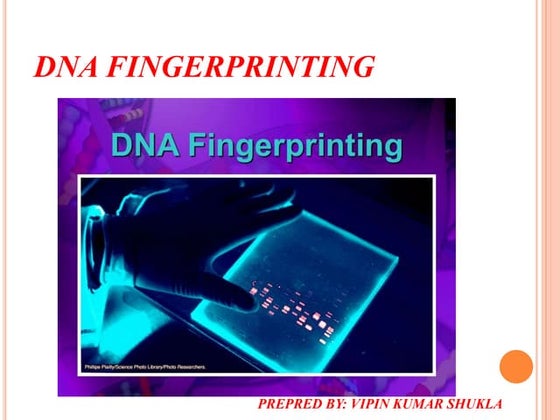 Dna fingerprinting and footprinting | PPTX