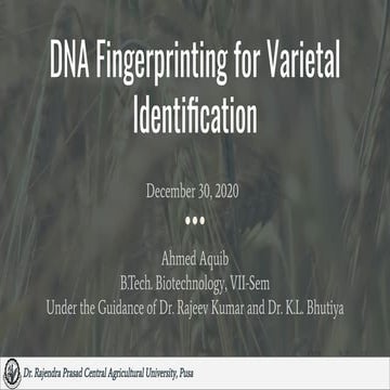 DNA Fingerprinting for Varietal Identification | PDF