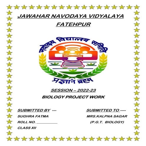 chemistry-project.pdf project files class 11 | PDF