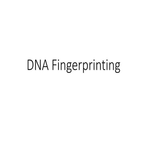 DNA Fingerprinting.ppt