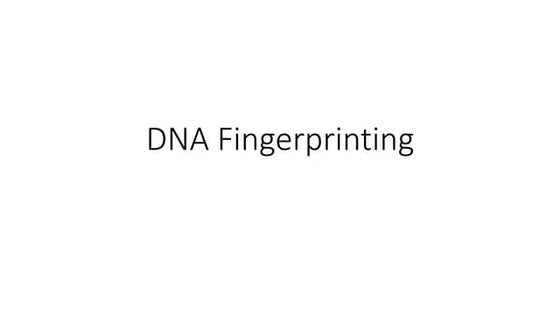 DNA FINGERPRINTIN Class XII Biology.pptx | Genetics | Science
