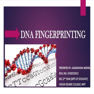 DNA FINGERPRINTING molecular biology-amit.pptx