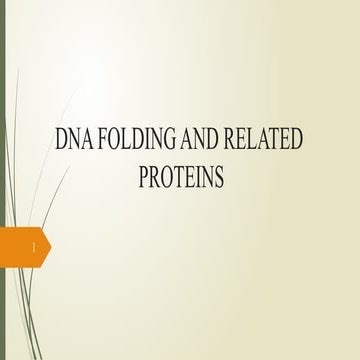 DNA FOLDING.pptx Negar Tehrani ........... | PPT