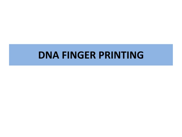 352180832 dna-fingerprint-investigatory-project-class-12 (1) | PDF