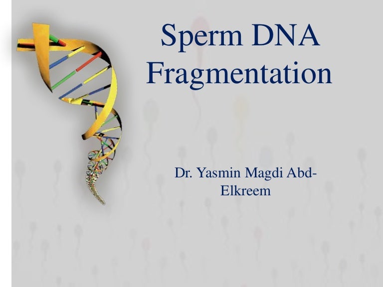 Sperm DNA fragmentation