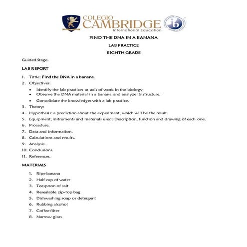 Banana dna lab isolating dna from a banana activity | PPT