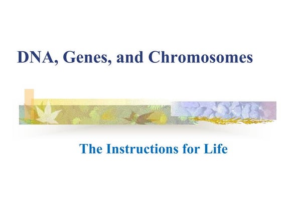 GENETICS 9 science 9 grade 9 curriculum.pptx | Genetics | Science