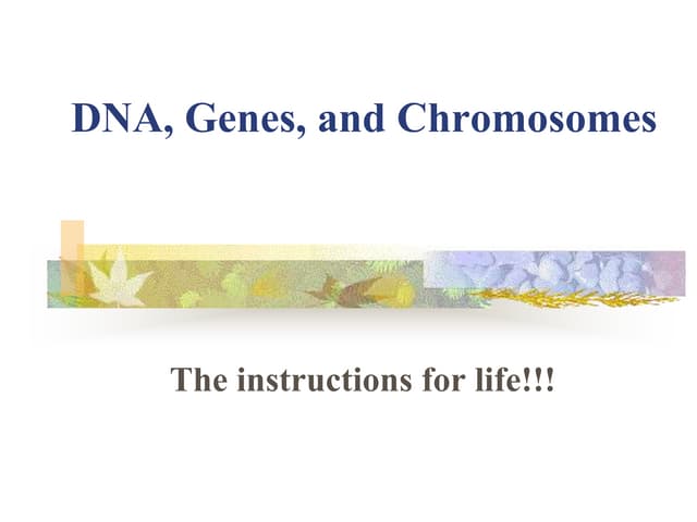 Chromosomes, DNA and Genes Biology Presentation in a Bold Colorful ...