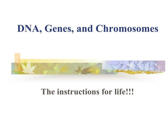 Chromosomes, DNA and Genes Biology Presentation in a Bold Colorful Style.pptx