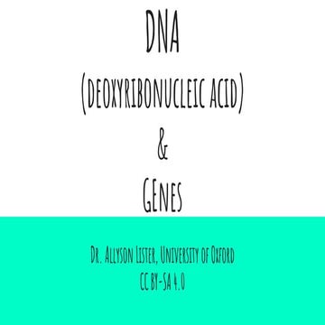 DNA & Genes KS2 | PPTX