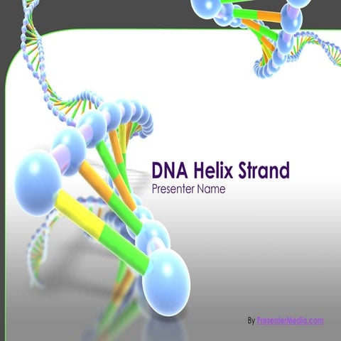 Dna Helix Strand Presentation for Powerpoint. | POTX