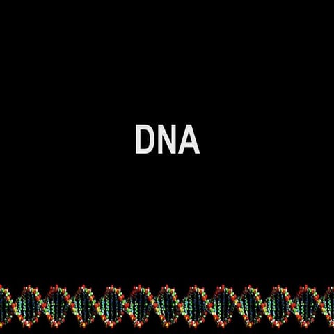 DNA History & Structure | PPT