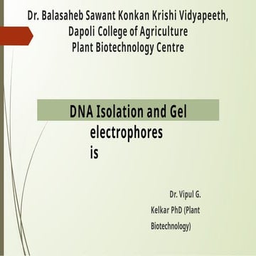 DNA Isolation cell division and the mitosis | PPTX