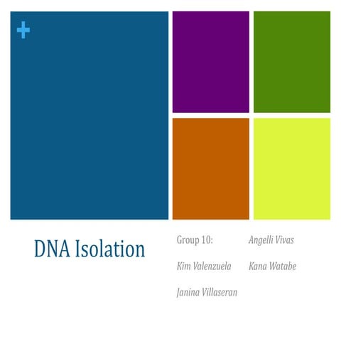 Dna isolation | PPTX