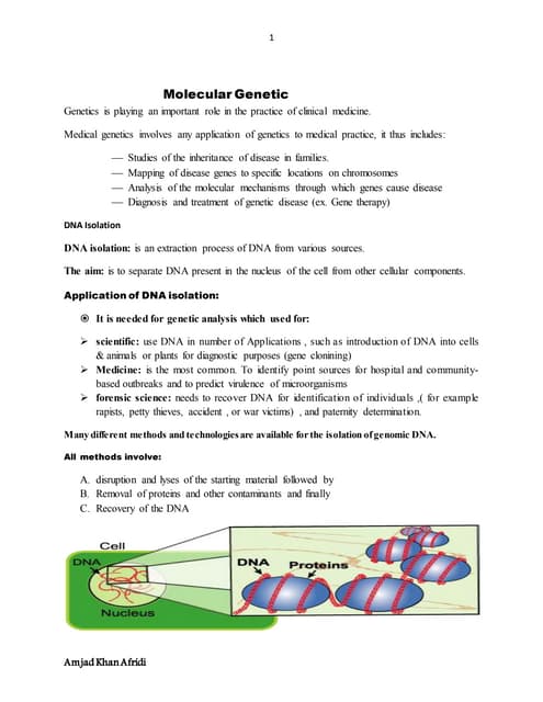 Isolation & Purification of DNA | PPT
