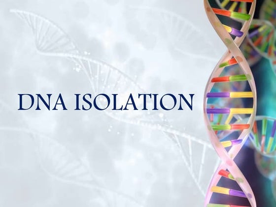 METHODS OF DNA EXTRACTION | PPT