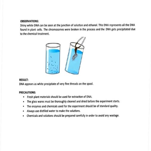 dna isolation of practical biology........class 12 cbse | PDF