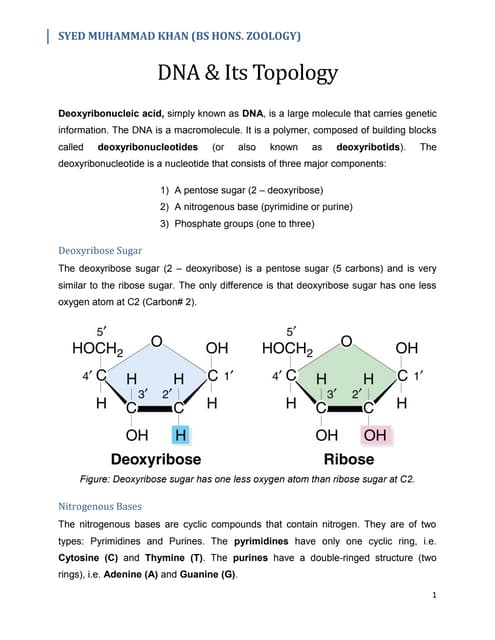 DNA structure and types | PPTX | Chemistry | Science