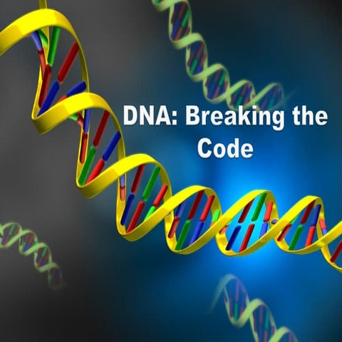DNA ppt.ppt
