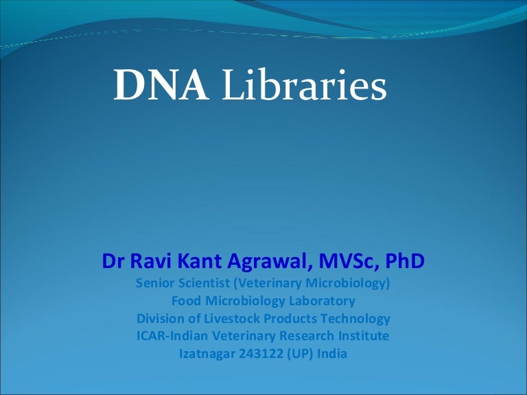 Dna libraries