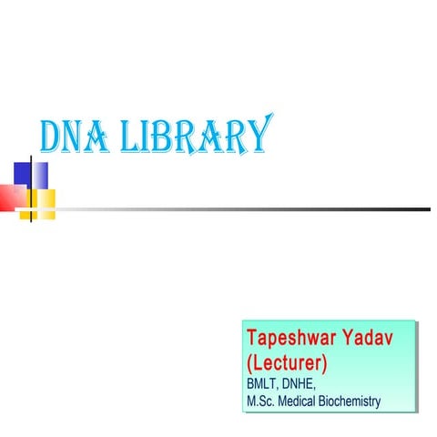 cDNA Library Construction