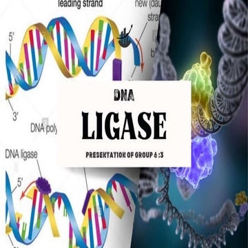 DNA LIGASE BIOTECHNOLOGY BIOLOGY STUDY OF LIFE | PPTX