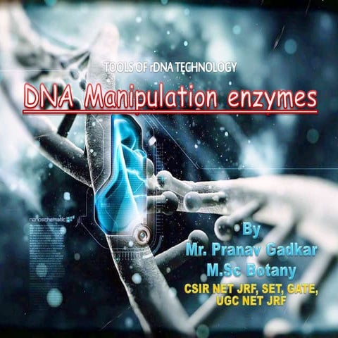 Dna manipulation enzymes | PPTX