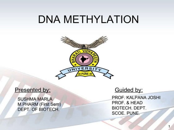Methylases | PPT