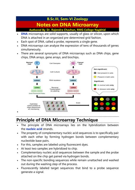 Nucleic Acid Microarray Pptx