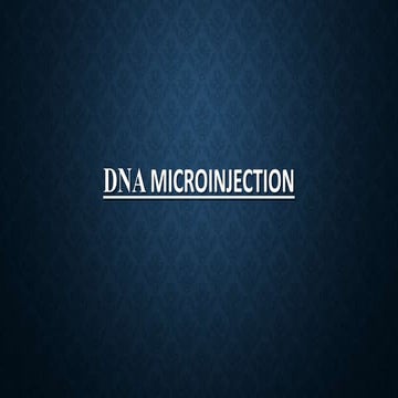 Dna microinjection | PPTX