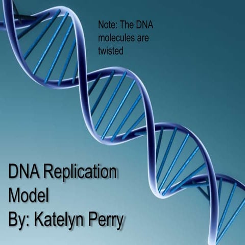Perry Dna model | PPTX