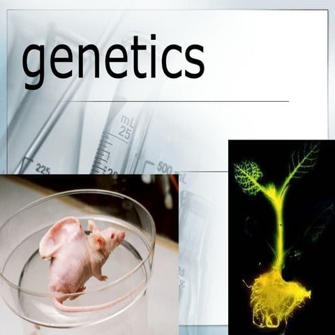 Dna notes | PPT
