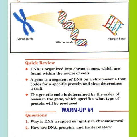 Introduction to DNA | PPT