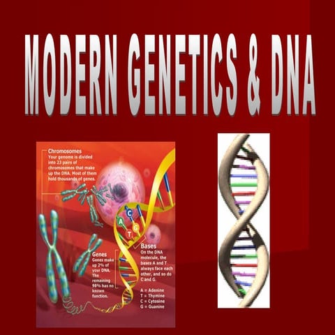 Dna structure and function (notes) | PPT