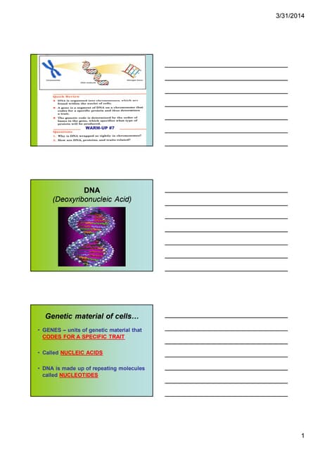 DNA TRANSCRIPTION GRADE 10 SCIENCE..pptx