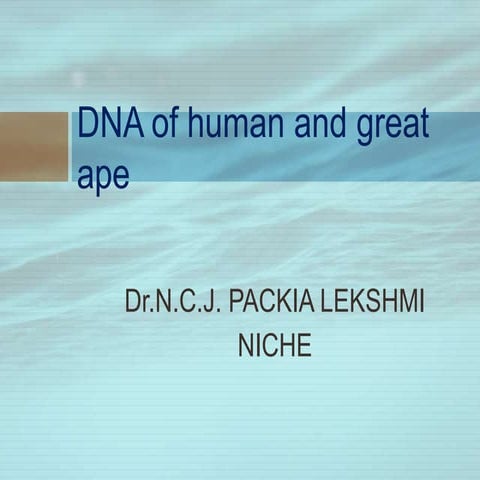 Dna of human and great ape | PPTX | Genetics | Science