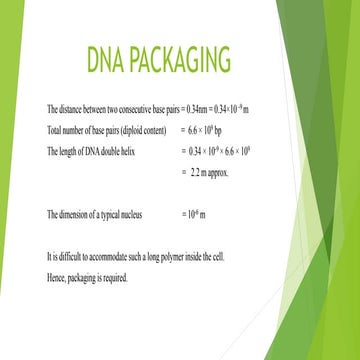 Dna packaging and replication | PPTX