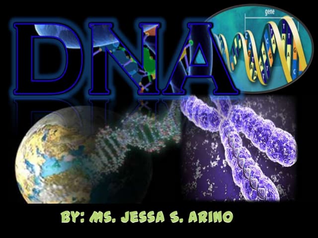 DNA Structure PowerPoint | PPT