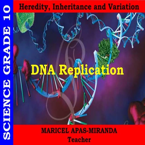 DNA Replication | PPTX | Chemistry | Science